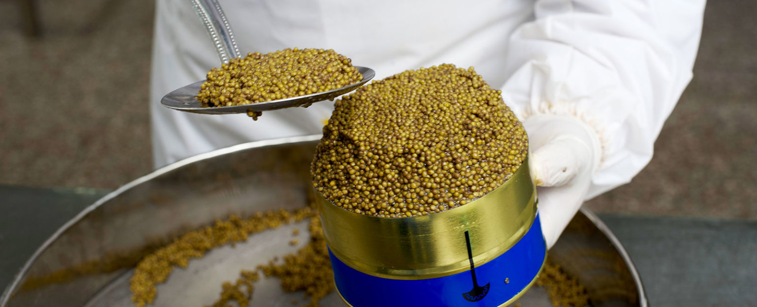 Malossol Caviar – the Essence of Caviar | Caviar Facts