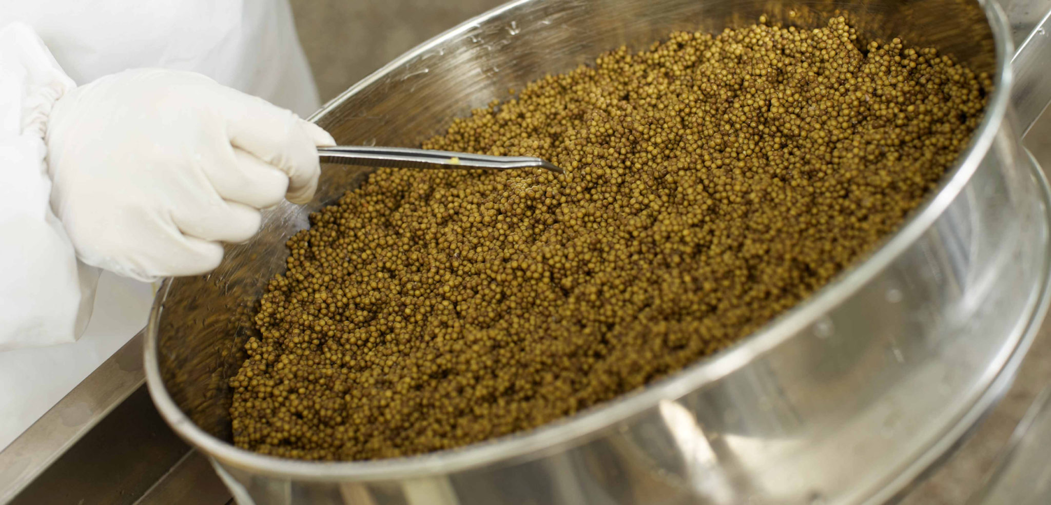 Malossol Kaviar | Kaviar-Wissen | Royal Caviar