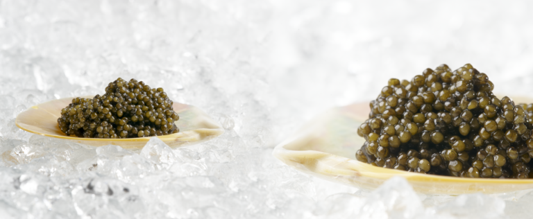 Malossol Caviar – the Essence of Caviar | Caviar Facts